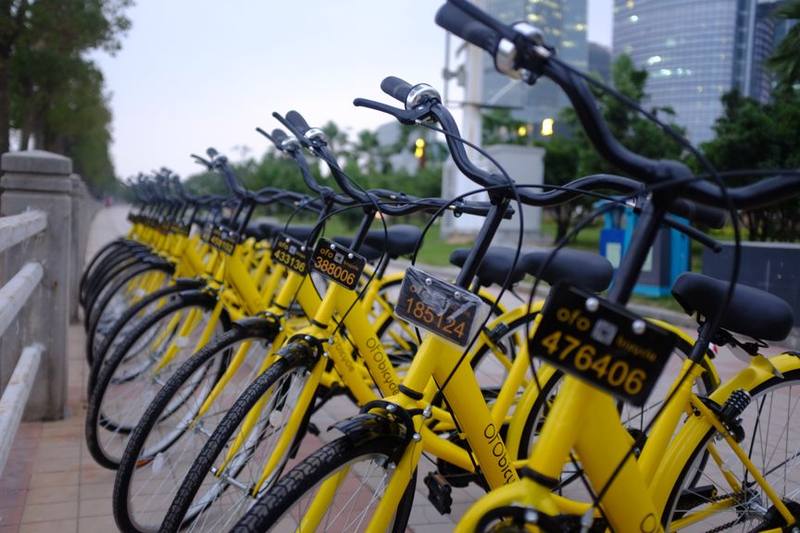 ofo被曝订单下滑资金紧张，回应称系谣言-蓝鲸财经